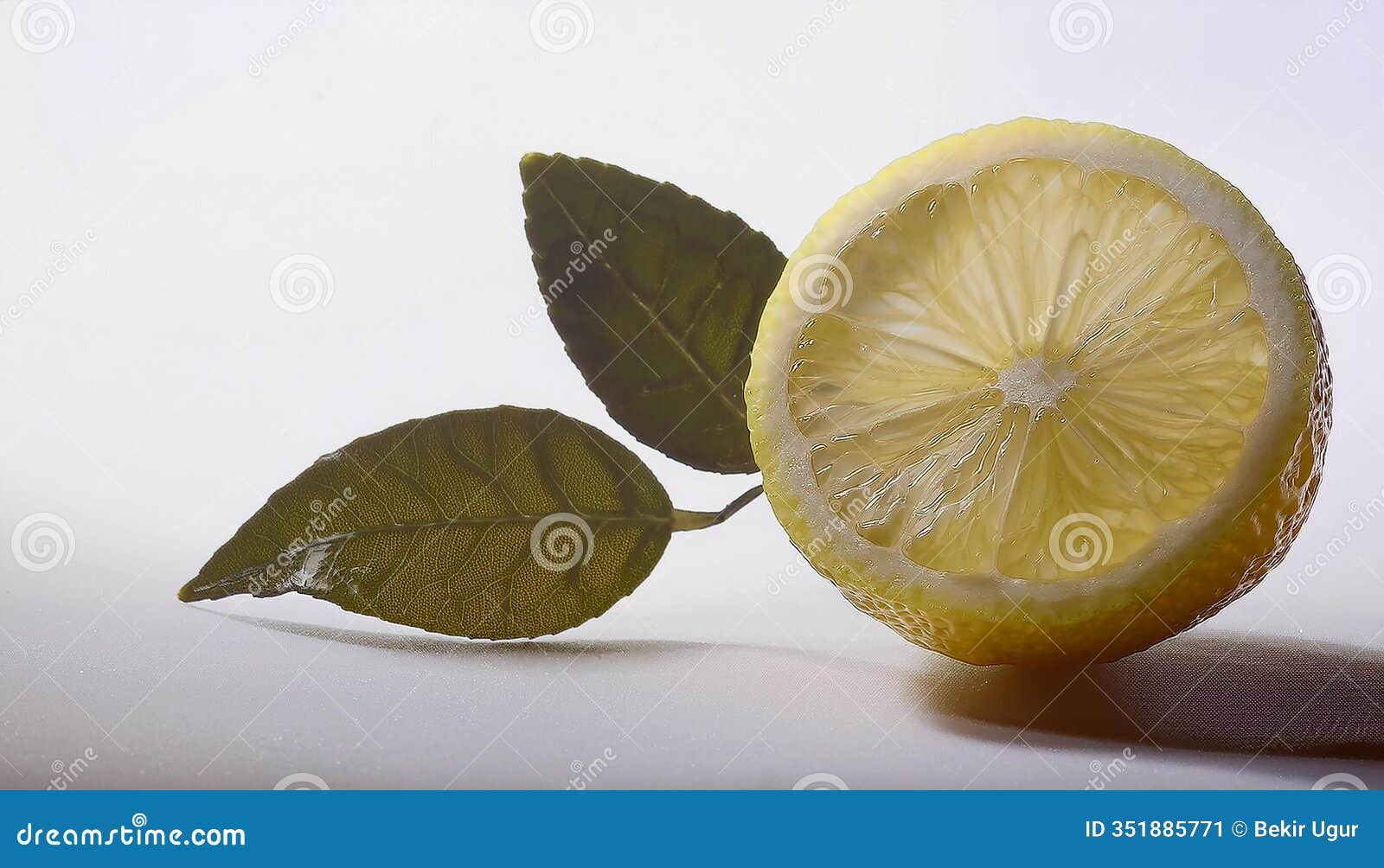 Lemon Slice on White, Space for Messages Stock Illustration ...