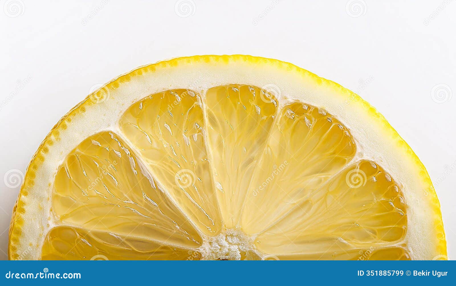 Lemon Slice on White, Space for Messages Stock Illustration ...