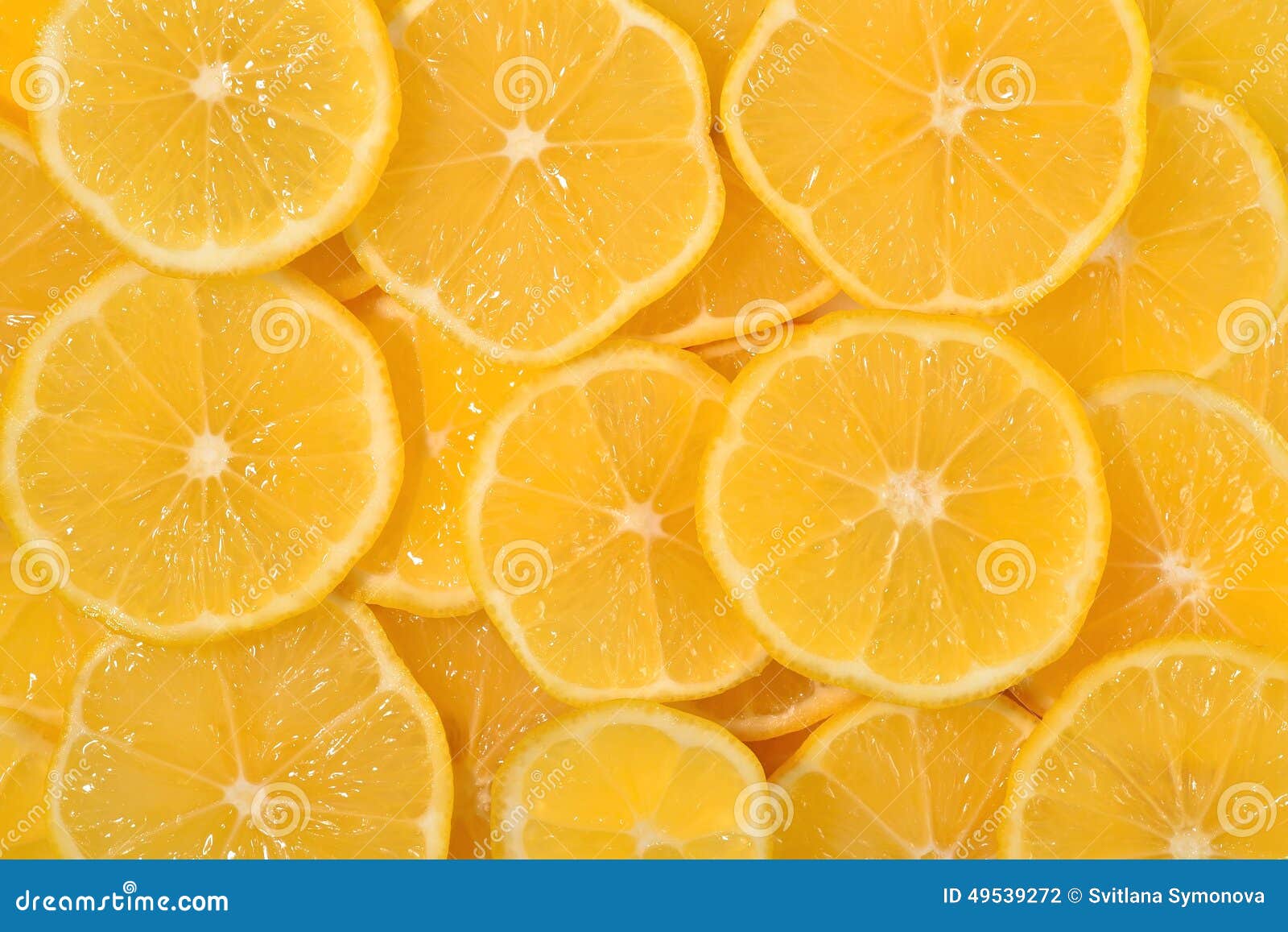 Lemon slices background stock photo. Image of acid, fruit - 49539272