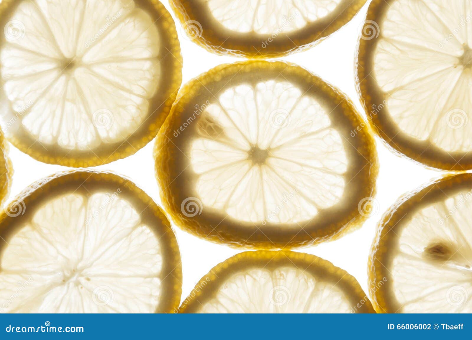 Lemon slices background. stock photo. Image of yellow - 66006002