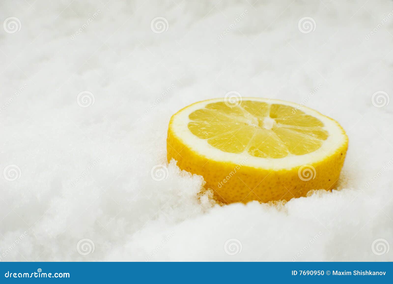Lemon in snow stock photo. Image of fruit, colors, peace - 7690950