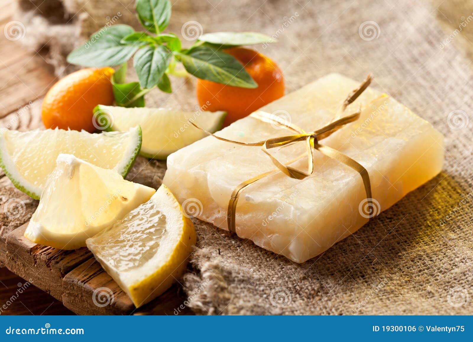 Lemon soap stock photo. Image of foam, health, hygiene - 19300106