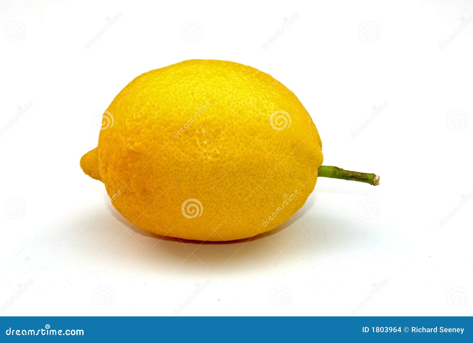 Lemon with stem stock photo. Image of fruit, yellow, fresh - 1803964