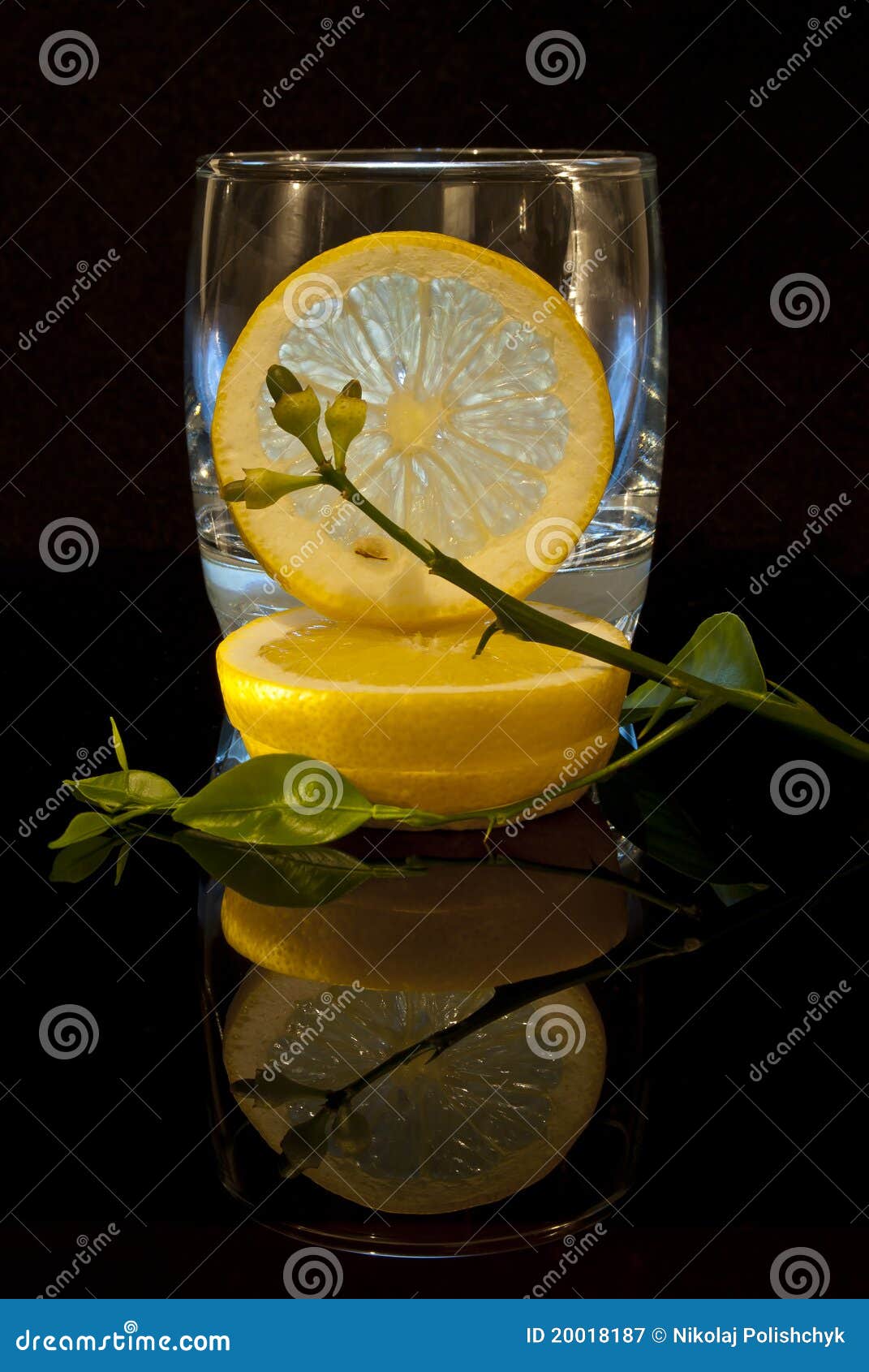 Lemon Still Life. stock image. Image of reflection, crop - 20018187
