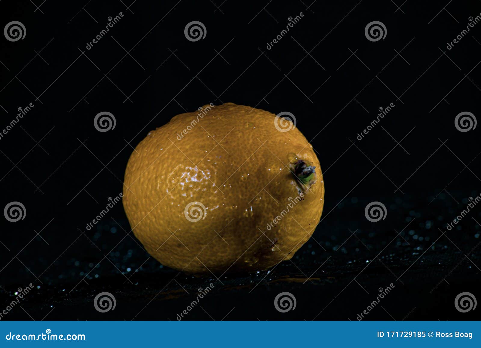 Lemon in Studio on Black Background Stock Image - Image of indoor, food ...