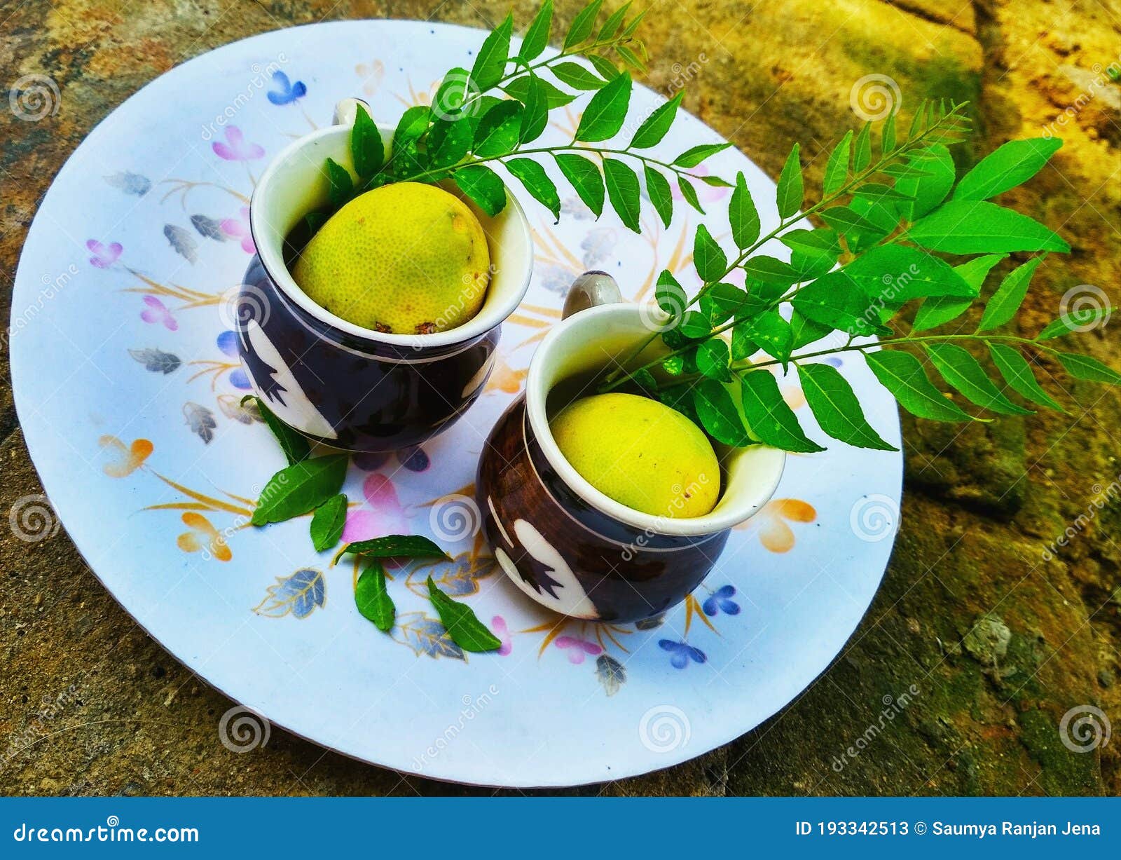 Bhusunga Leaf Stock Photos - Free & Royalty-Free Stock Photos from ...