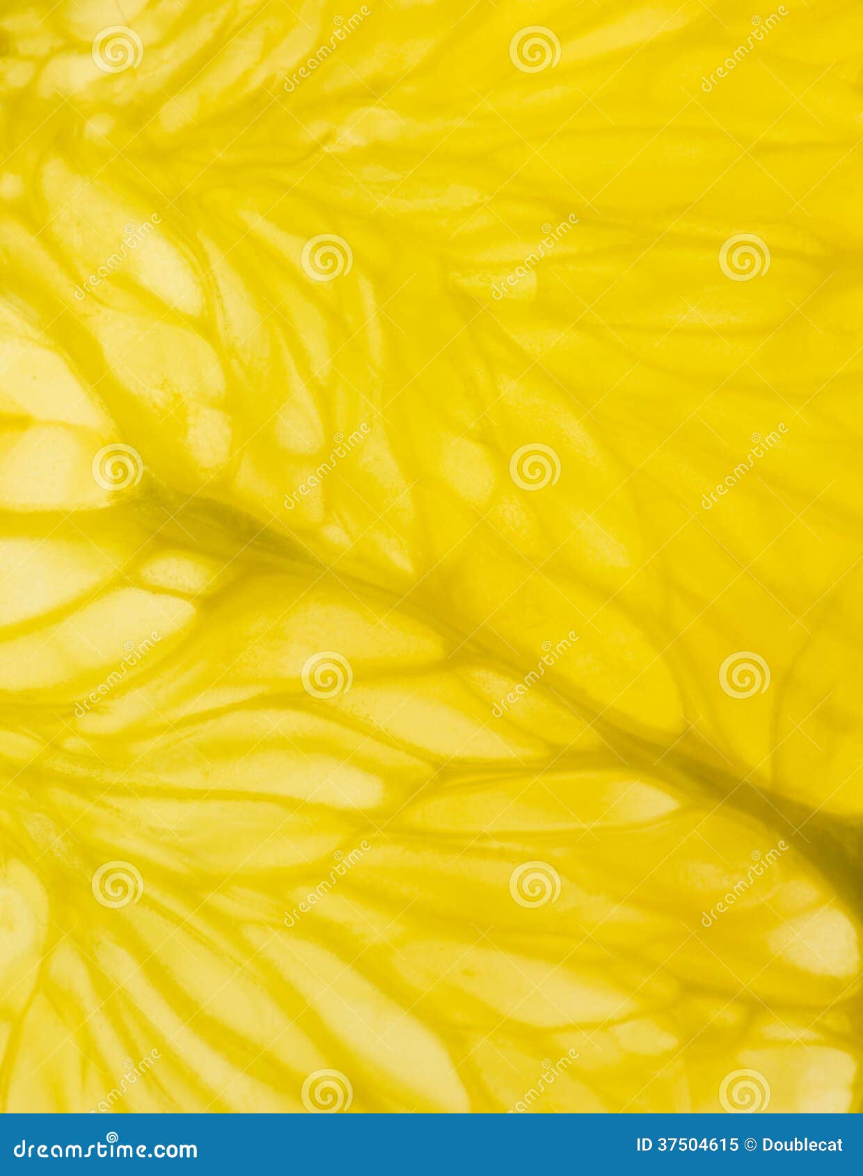 Lemon texture stock image. Image of color, juicy, freshness - 37504615