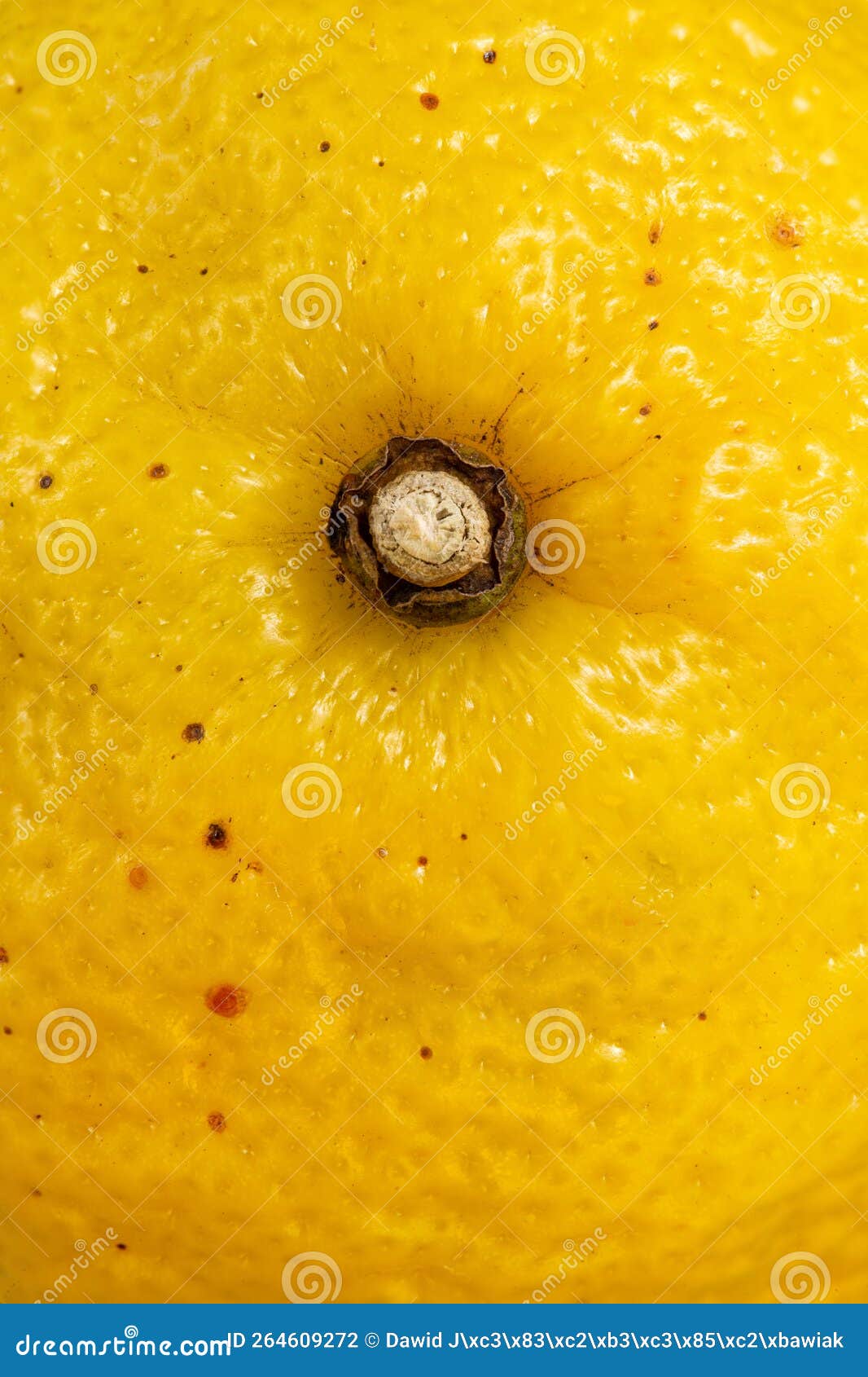Lemon Texture As a Background. a Close Shot of a Lemon. Macro Photo ...