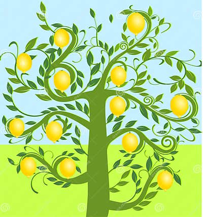 Lemon tree stock vector. Illustration of fruits, plant - 13359816