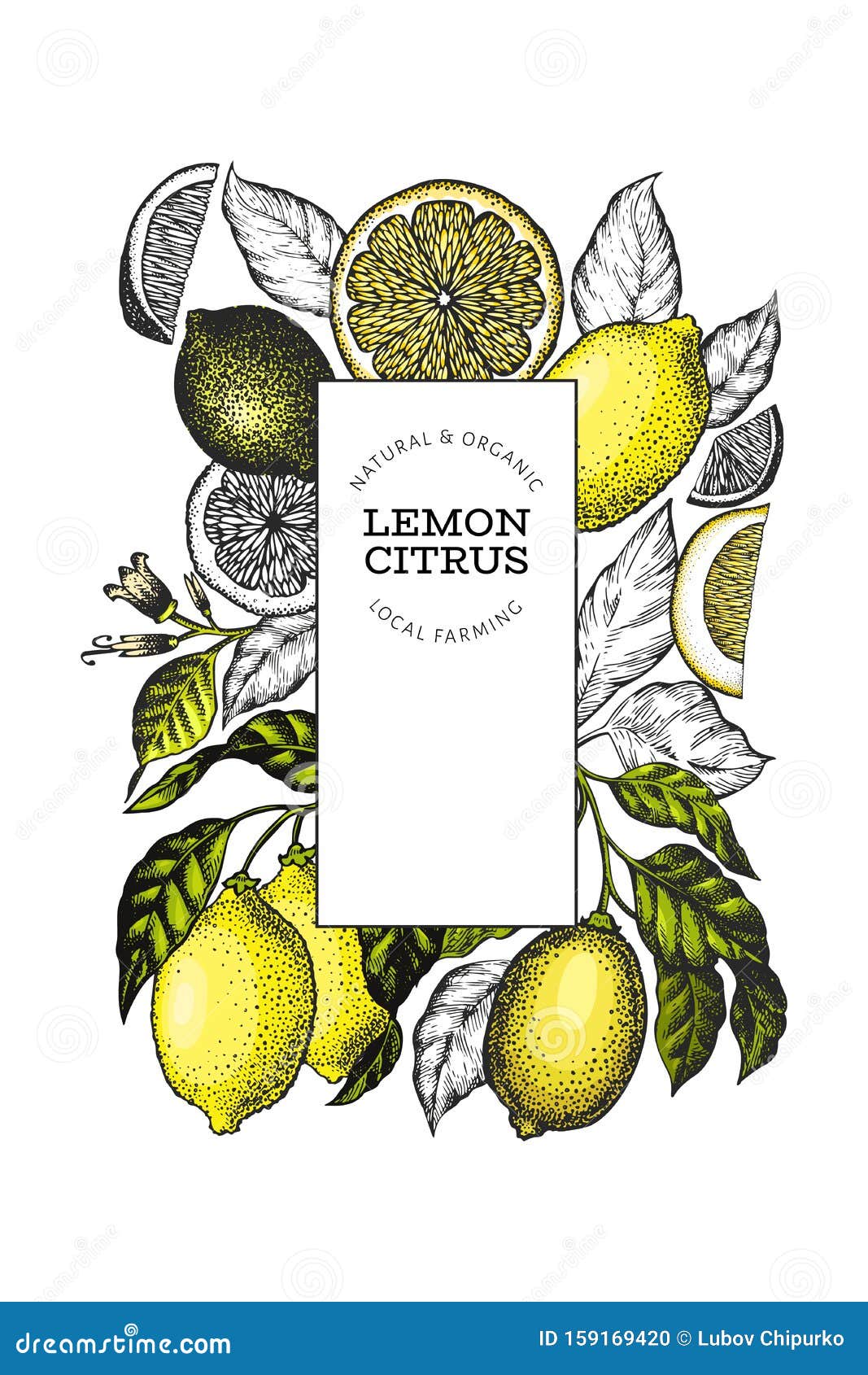 Lemon Tree Frame Template. Hand Drawn Vector Fruit Illustration ...