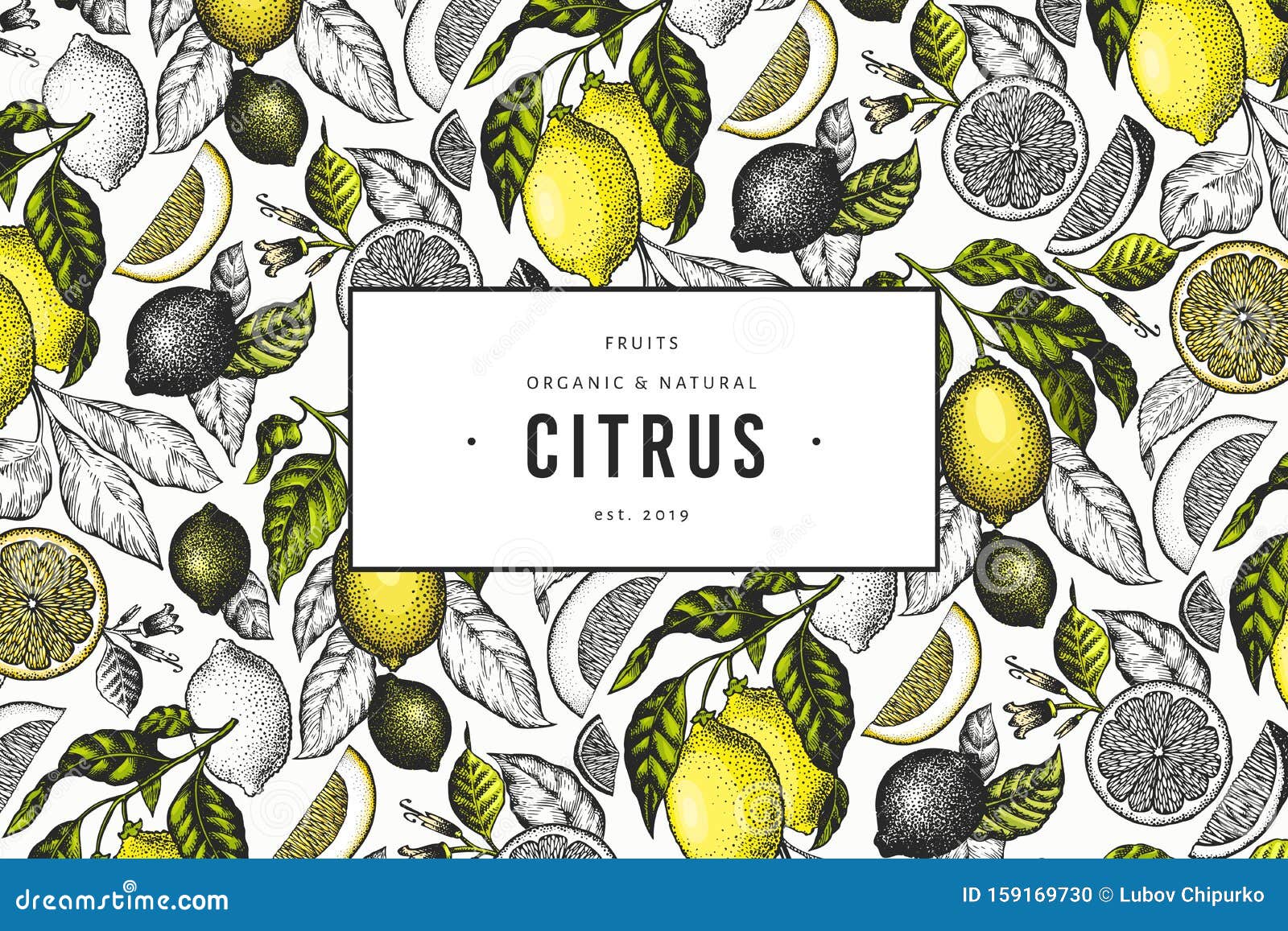 Lemon Tree Frame Template. Hand Drawn Vector Fruit Illustration ...