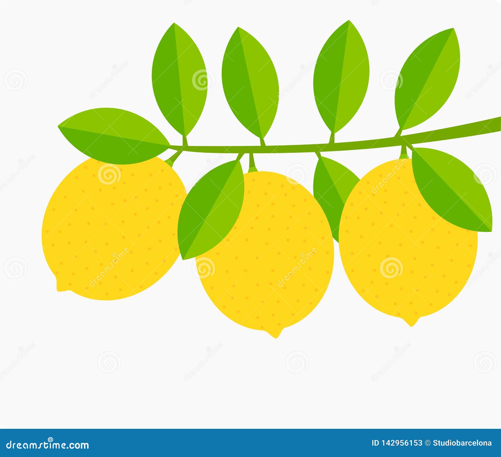 Lemon Tree Branch with Lemon Fruits Stock Vector - Illustration of ...