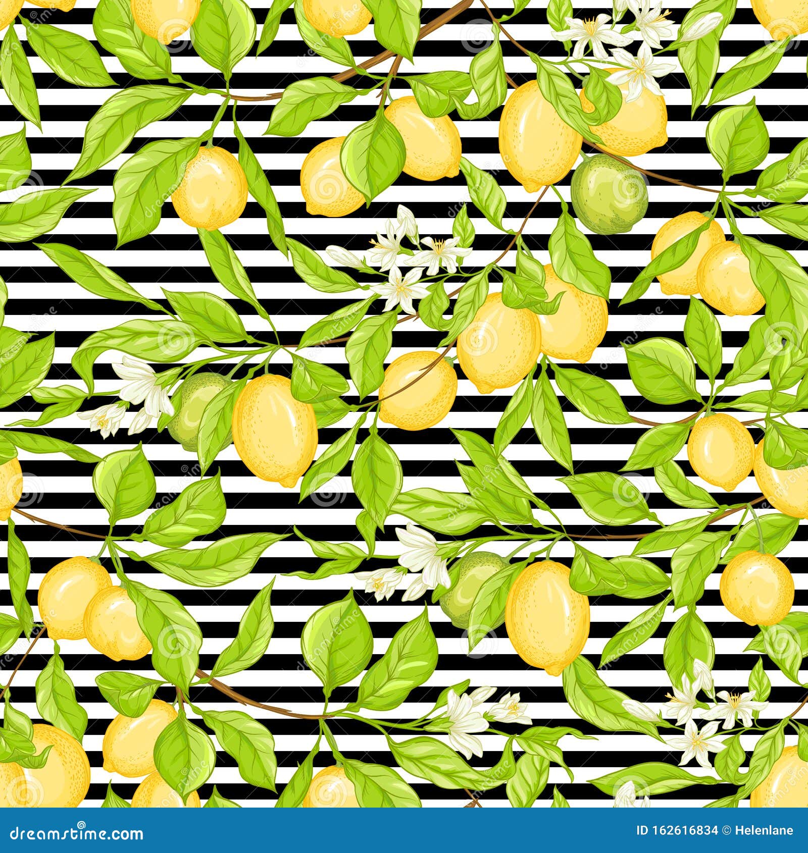 Lemon Tree Branch with Lemons Stock Vector - Illustration of branch ...