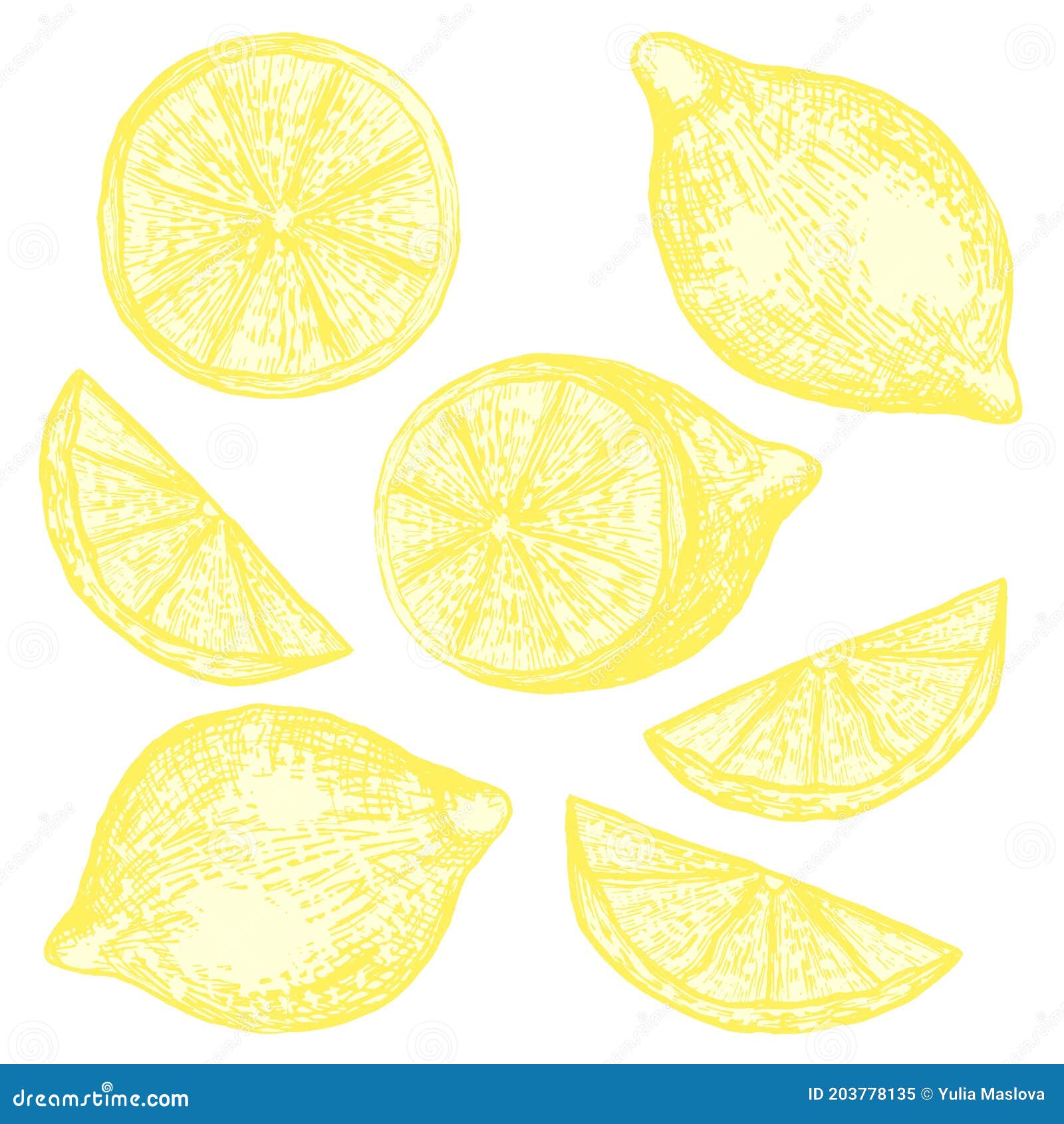 Lemon Tree Branch. Line Art, Sketch, Engraving, Line Art Stock Vector ...