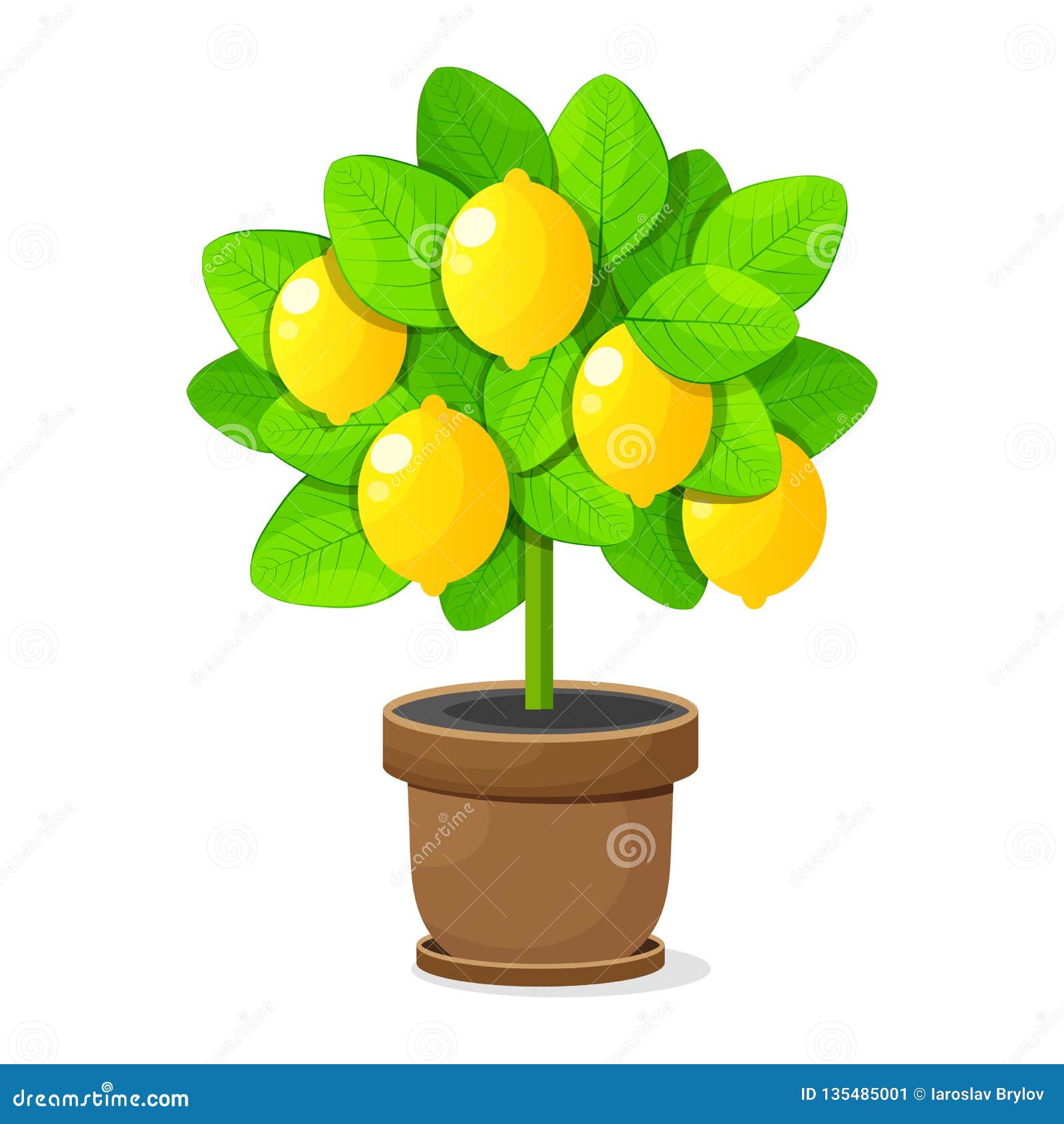 Lemon Tree In Clay Pot On White Background Vector Stock Vector Illustration Of Color Grow