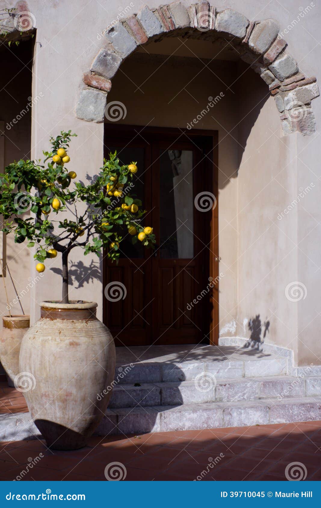 Lemon Tree in Doorway - Mediterranean Scene Stock Image - Image of ...