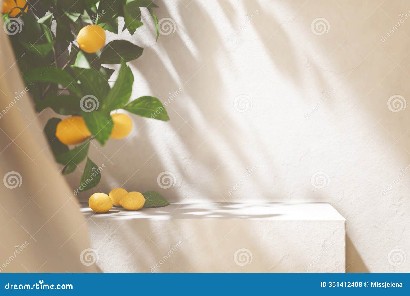 Lemon Tree in Front of White Rustic Wall with Sunlight Shade. Summer ...