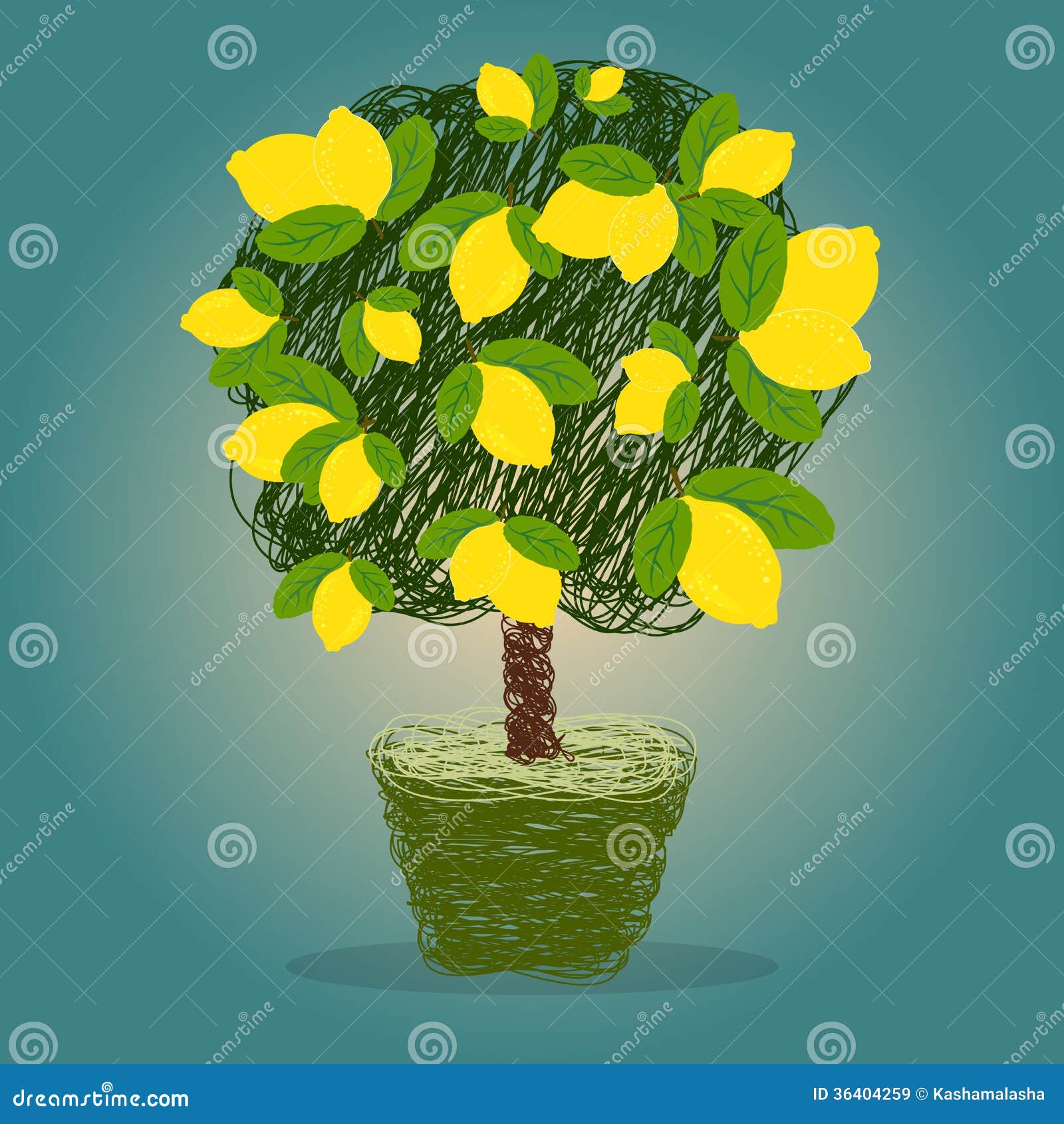 Lemon tree in a pot vector stock vector. Illustration of pencil - 36404259