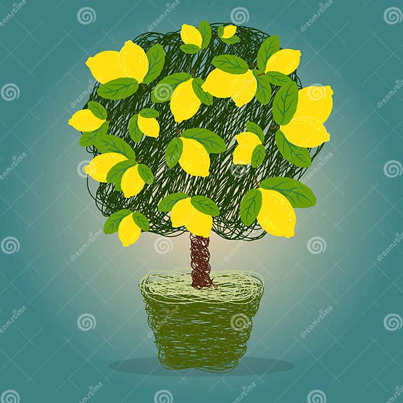 Lemon tree in a pot vector stock vector. Illustration of pencil - 36404259