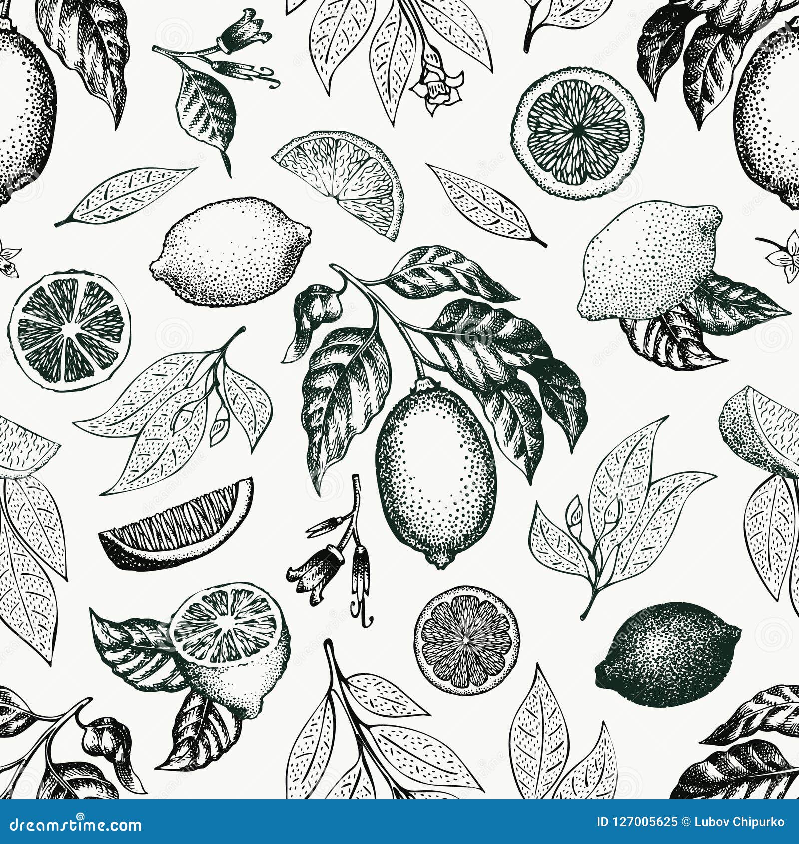 Lemon Tree Seamless Pattern. Hand Drawn Vector Fruit Illustration ...