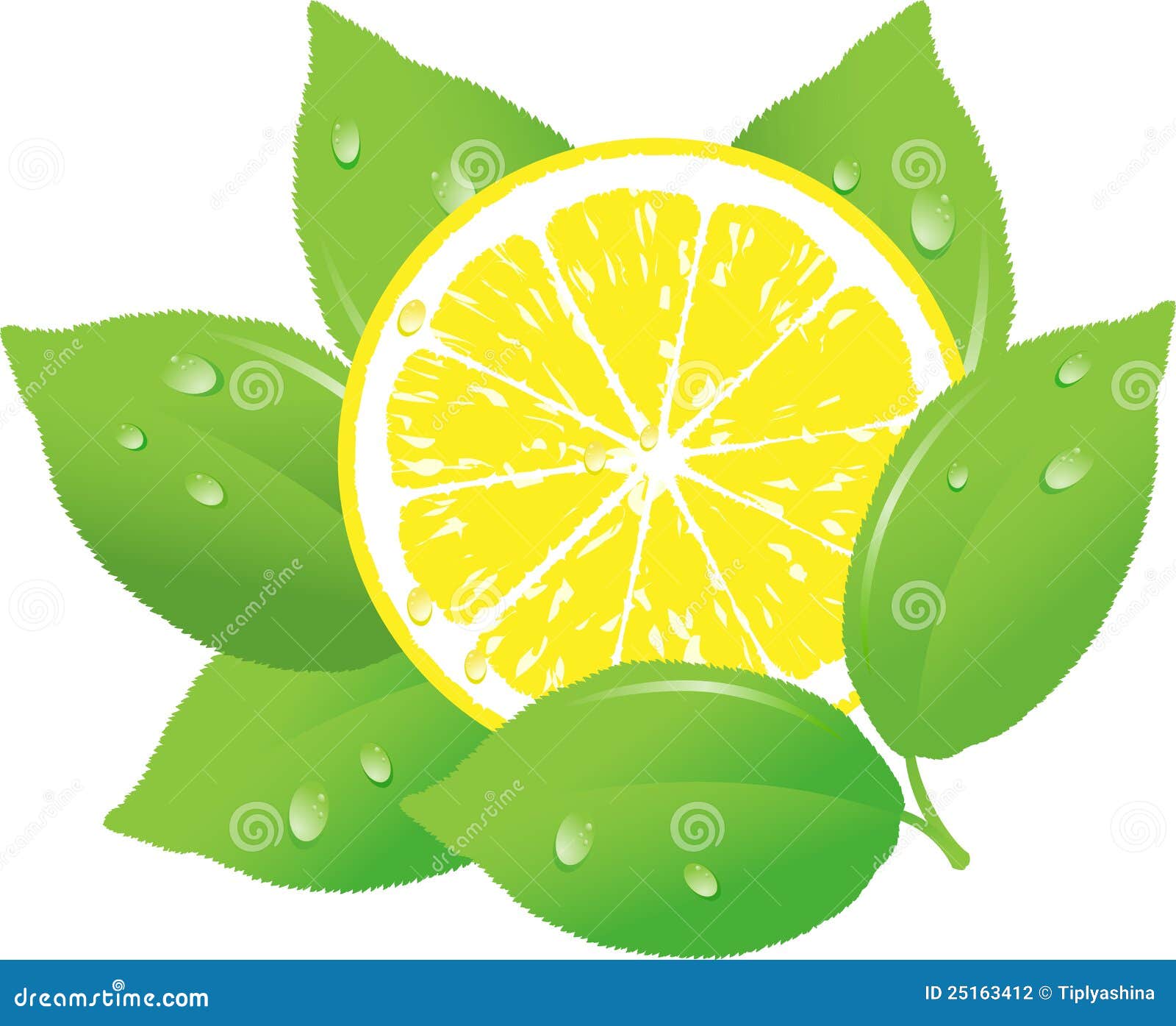 Lemon vector illustration stock vector. Illustration of happy - 25163412