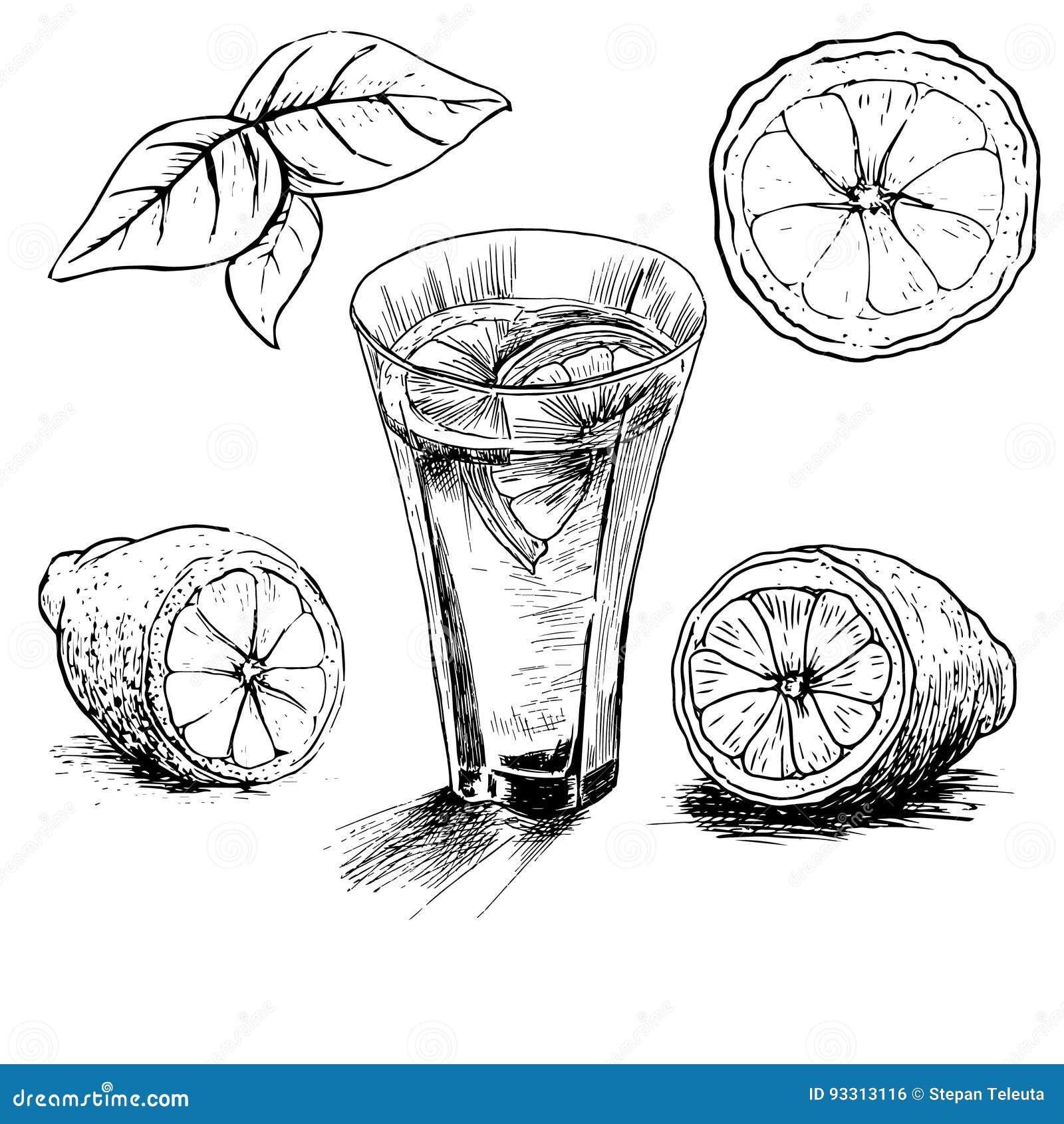 Lemon vintage hand draw stock vector. Illustration of element - 93313116 Lemon vintage hand draw stock vector. Illustration of element - 93313116