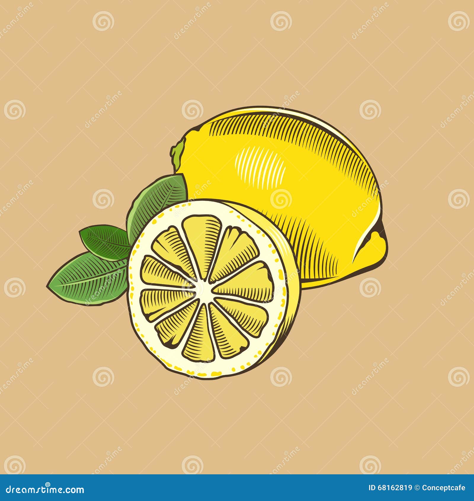 Lemon in Vintage Style. Colored Vector Illustration Stock Vector ...