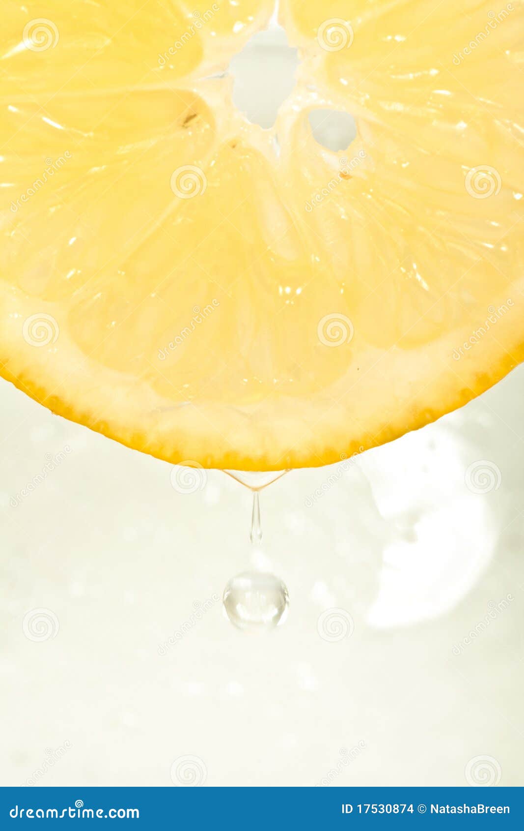 Lemon in the water stock photo. Image of eating, closeup - 17530874