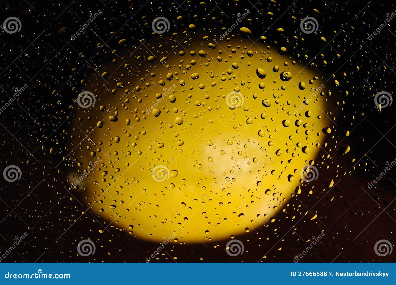 Lemon and water drops stock photo. Image of light, fresh - 27666588