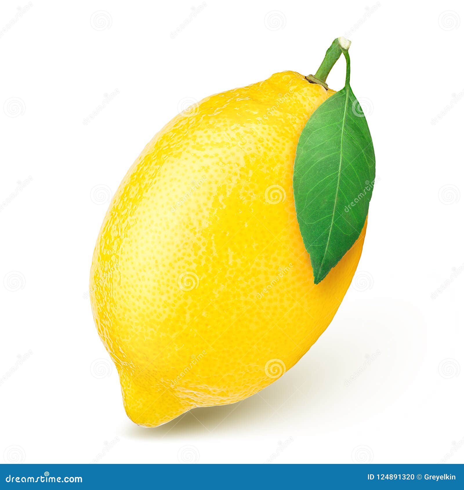 Lemon, on white background stock photo. Image of object - 124891320