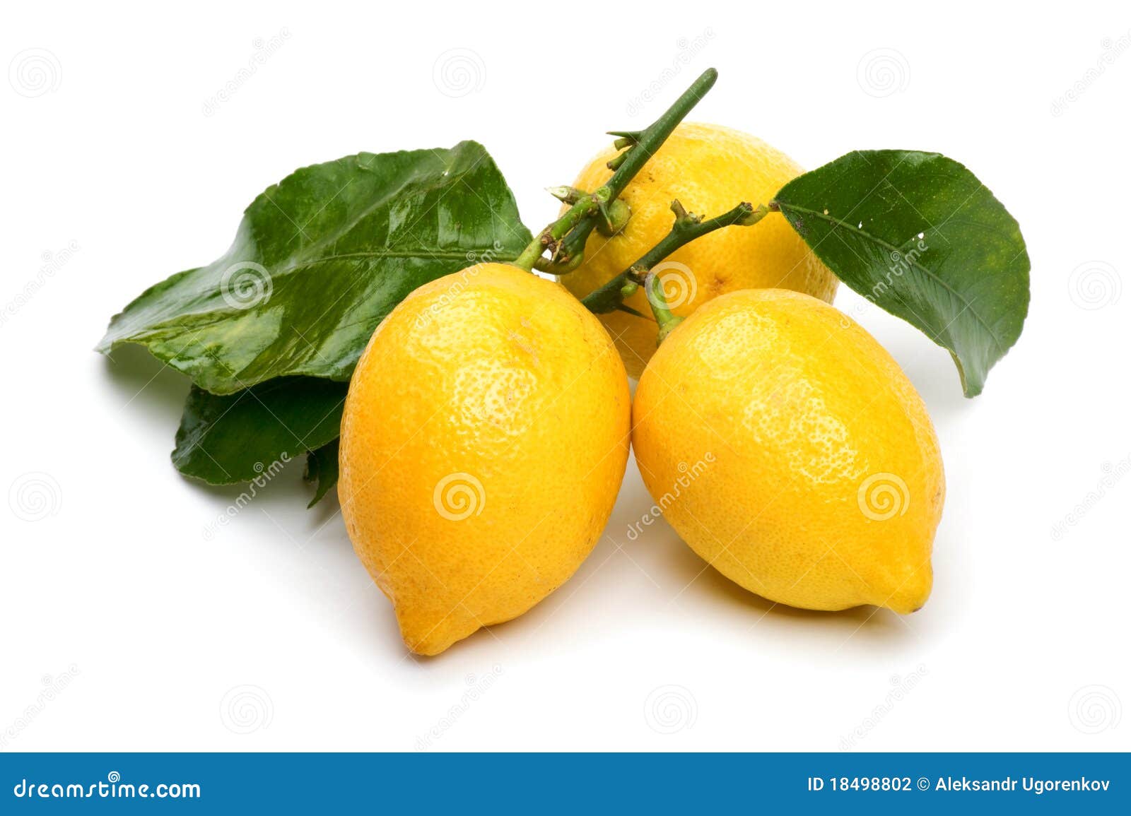 Lemon on white close up stock photo. Image of green, group - 18498802