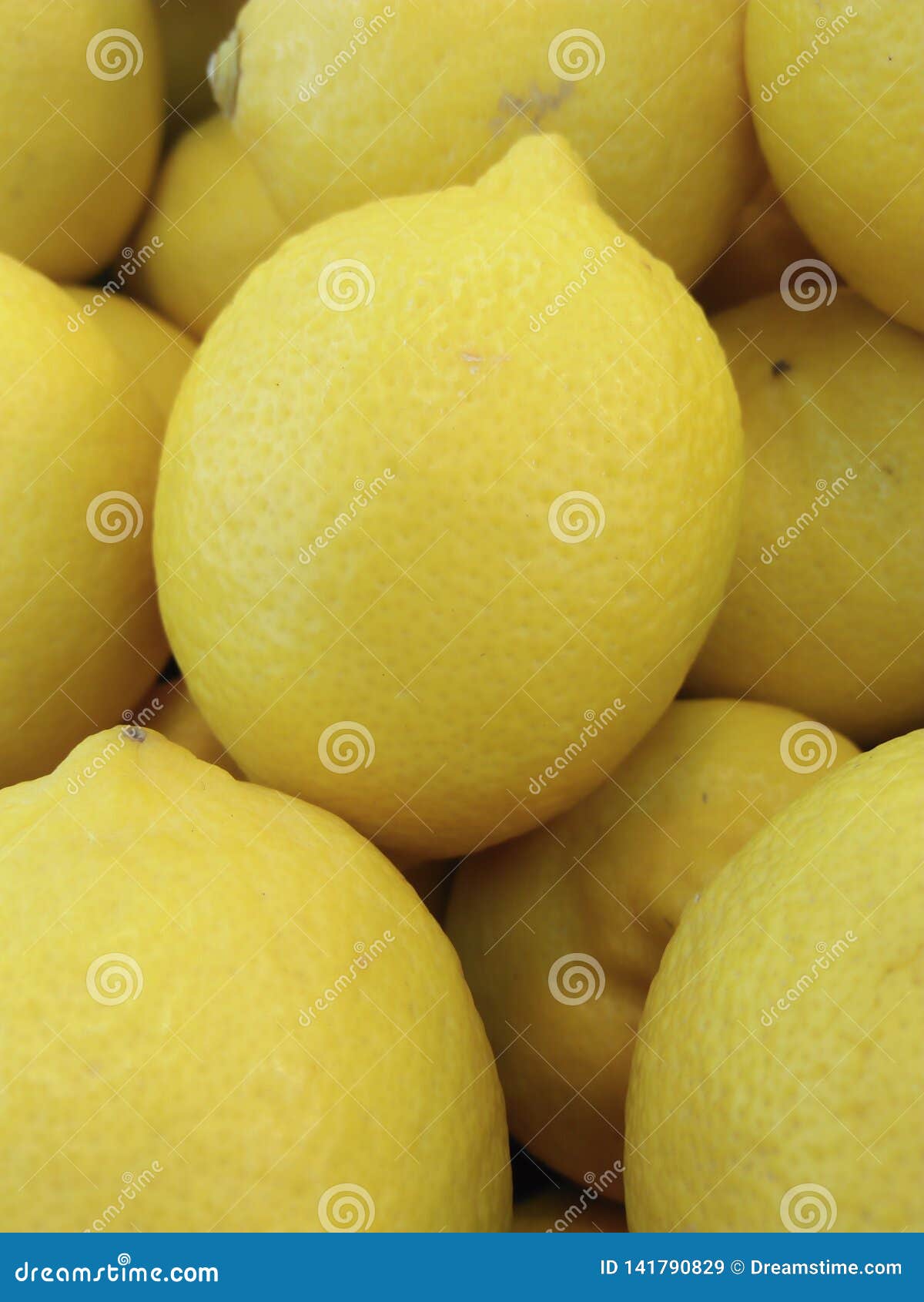 Lemon yellow fresh stock image. Image of nutritious - 141790829