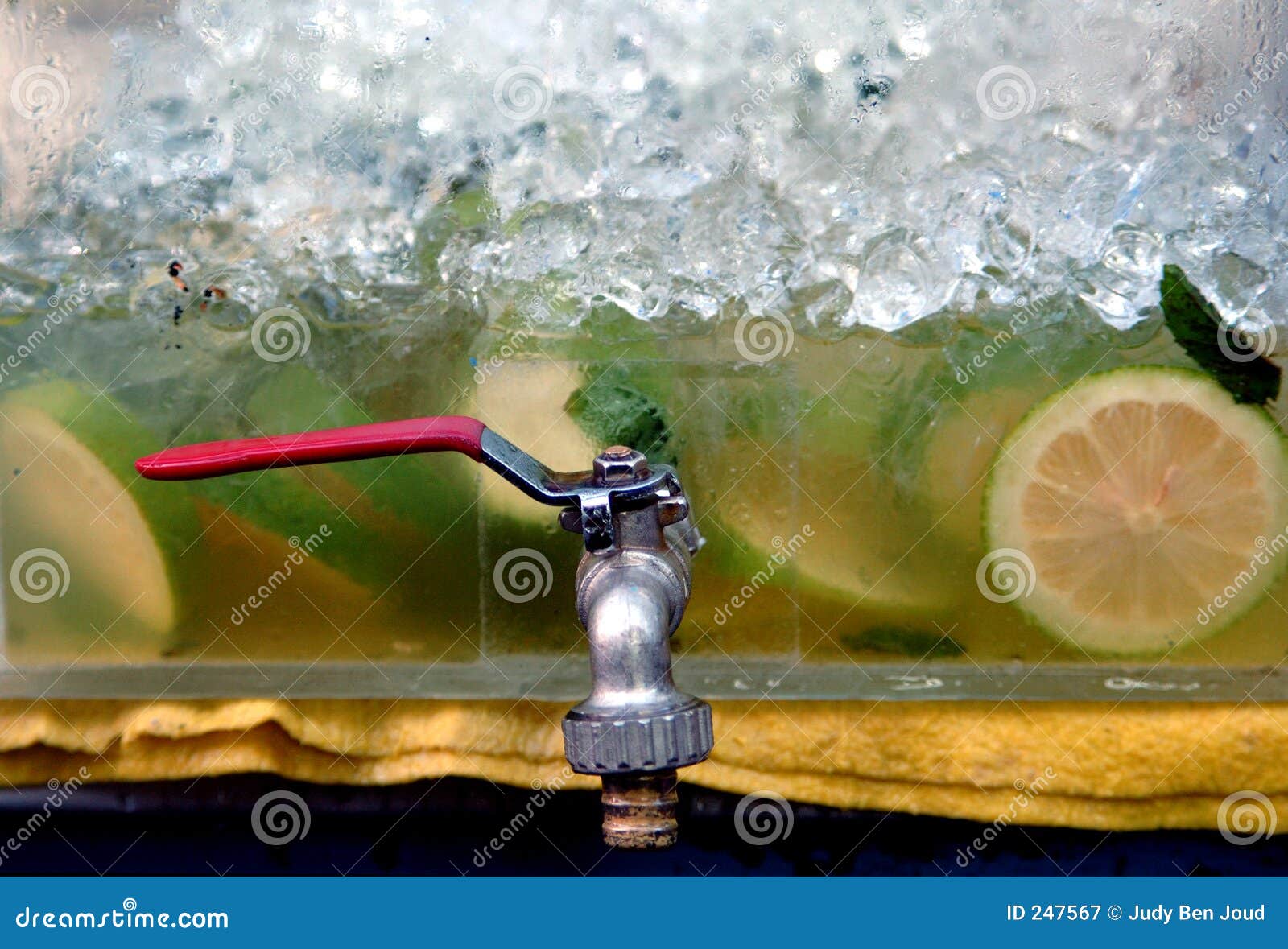 Lemonade stock image. Image of lemonade, leaves, tank, lemon - 247567