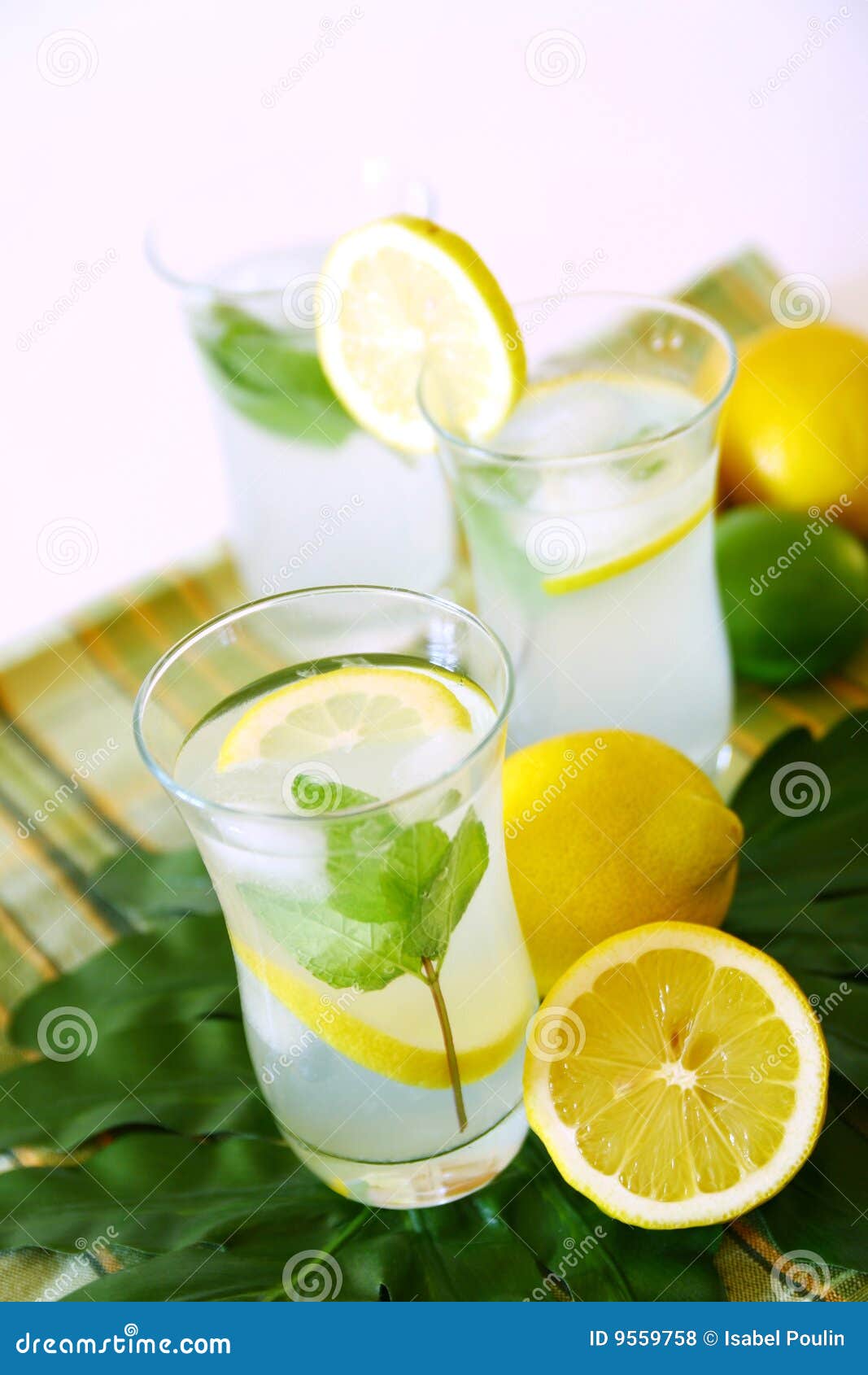 Lemonade stock photo. Image of eating, mint, fruit, green - 9559758