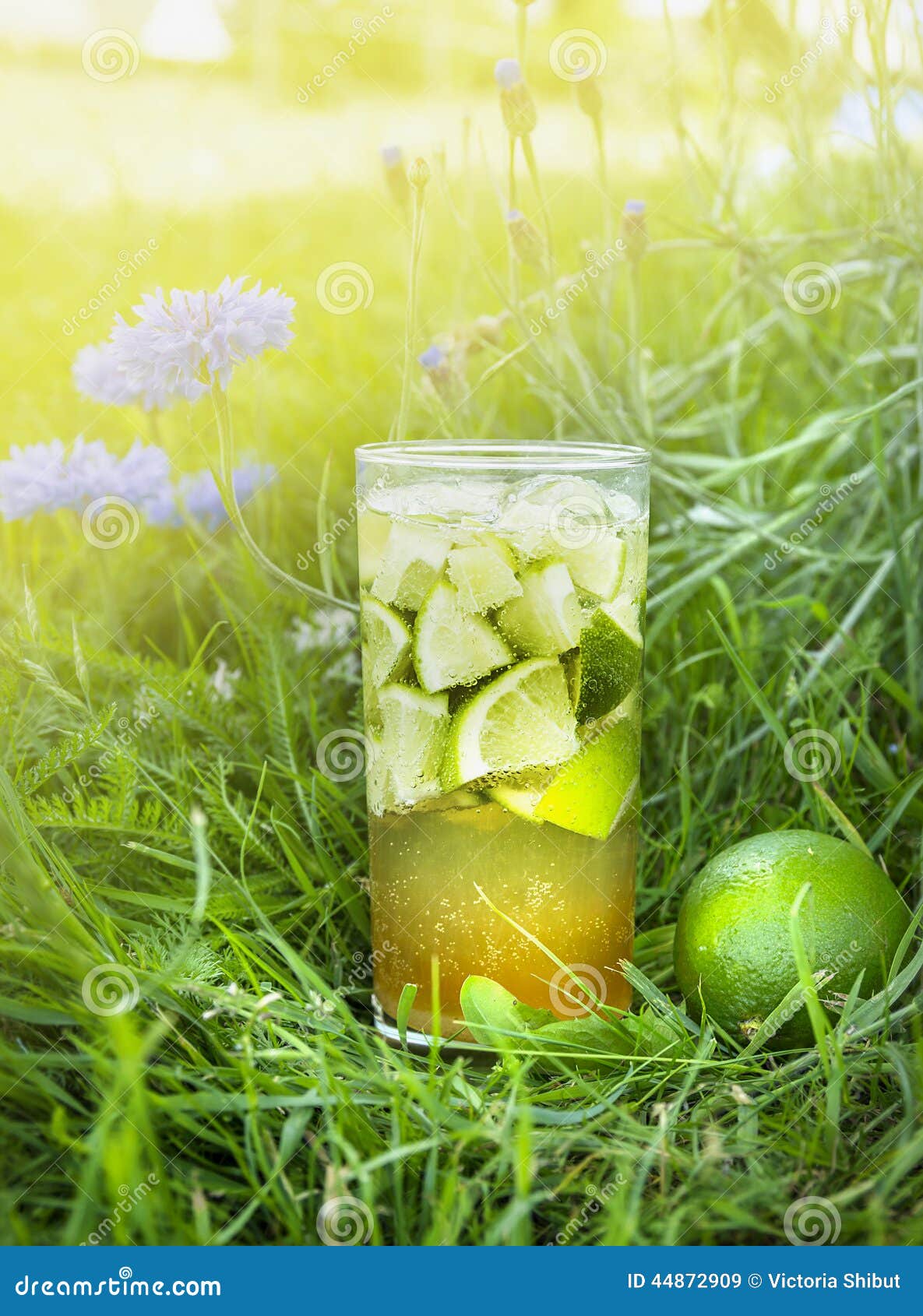 Lemonade on Grass in Garden Stock Image - Image of green, outdoors ...