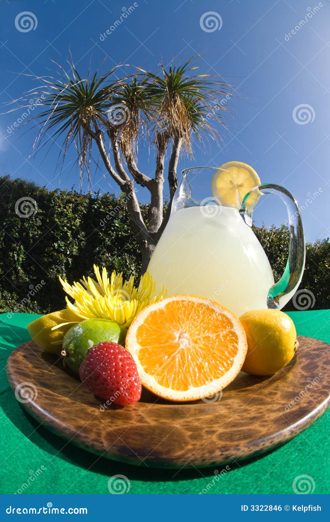 Lemonade summer stock photo. Image of fruit, oranges, detail - 3322846