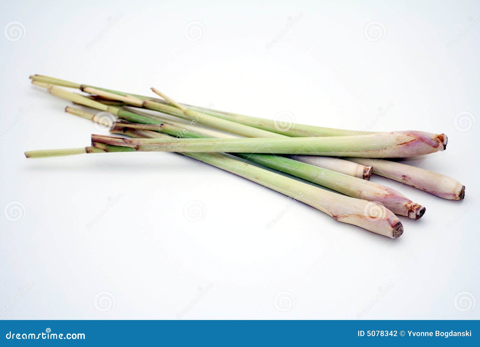 Lemongras stock photo. Image of spices, food, spice, asian - 5078342
