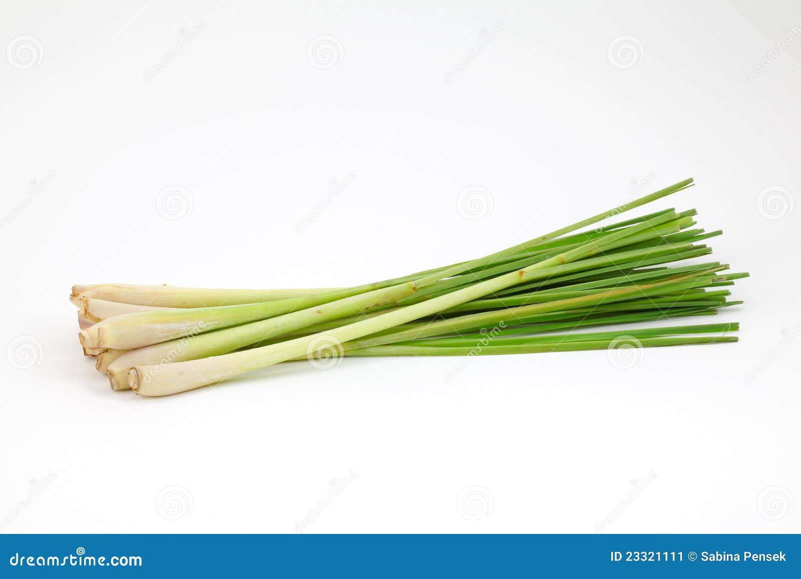 Lemongras Bunch on White Background Stock Image - Image of india ...