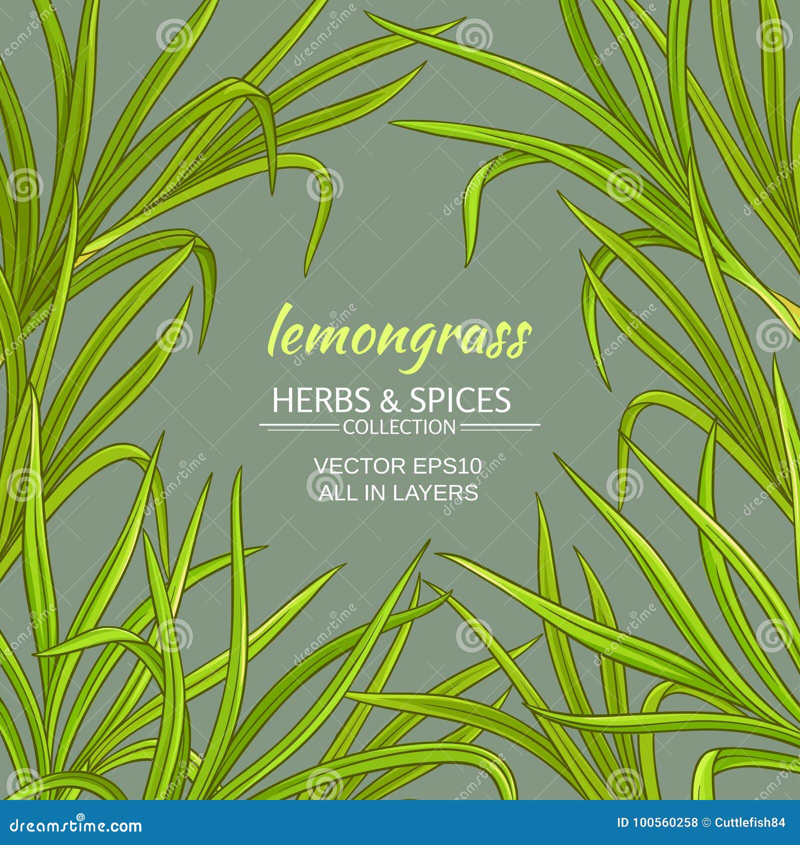 Lemongrass Color Vector Set. Hand Drawn Lemongrass Tea Herb ...
