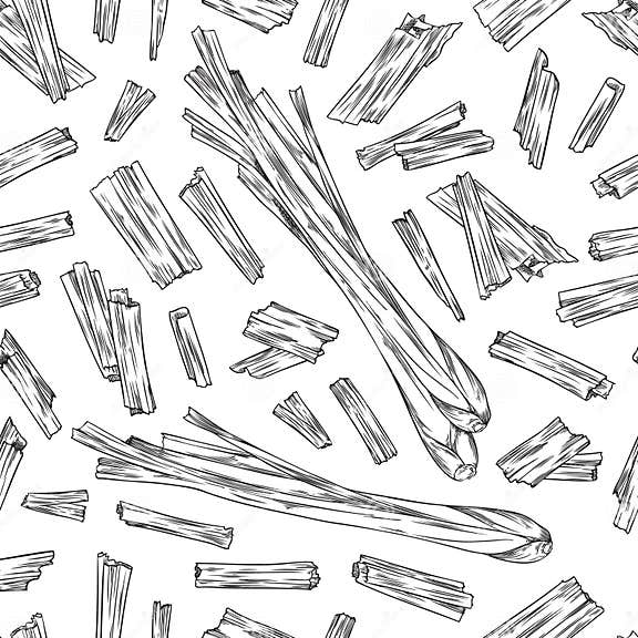 Lemongrass Seamless Pattern With Sprouts Of Plant Sketch Vector Illustration Stock Vector