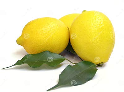 Lemons stock photo. Image of fruits, citrus, fresh, food - 1074948