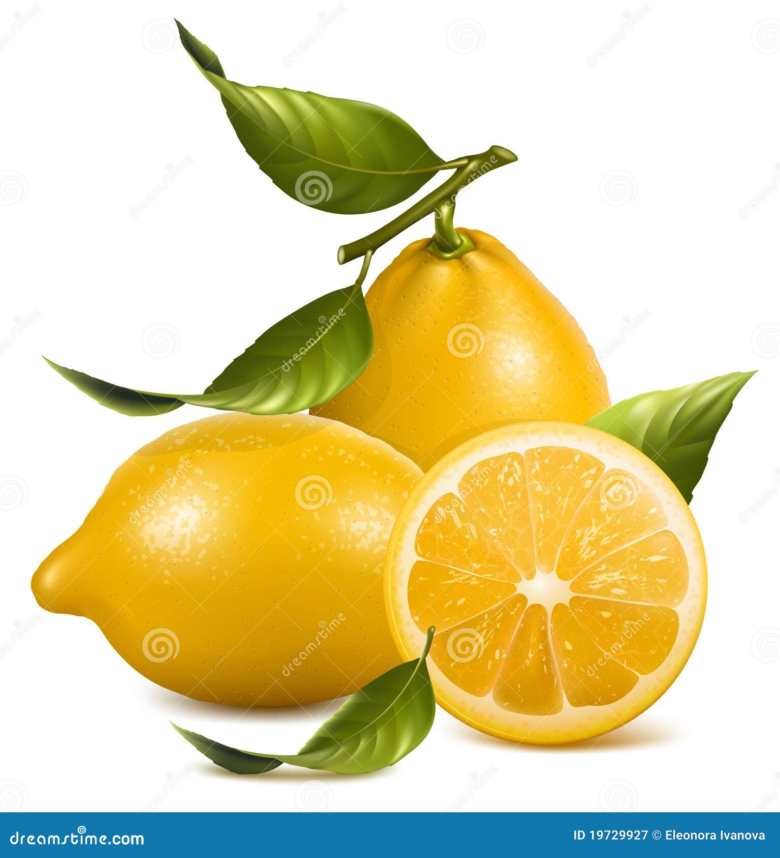 Lemons stock vector. Illustration of lemon, ripe, delicious - 19729927