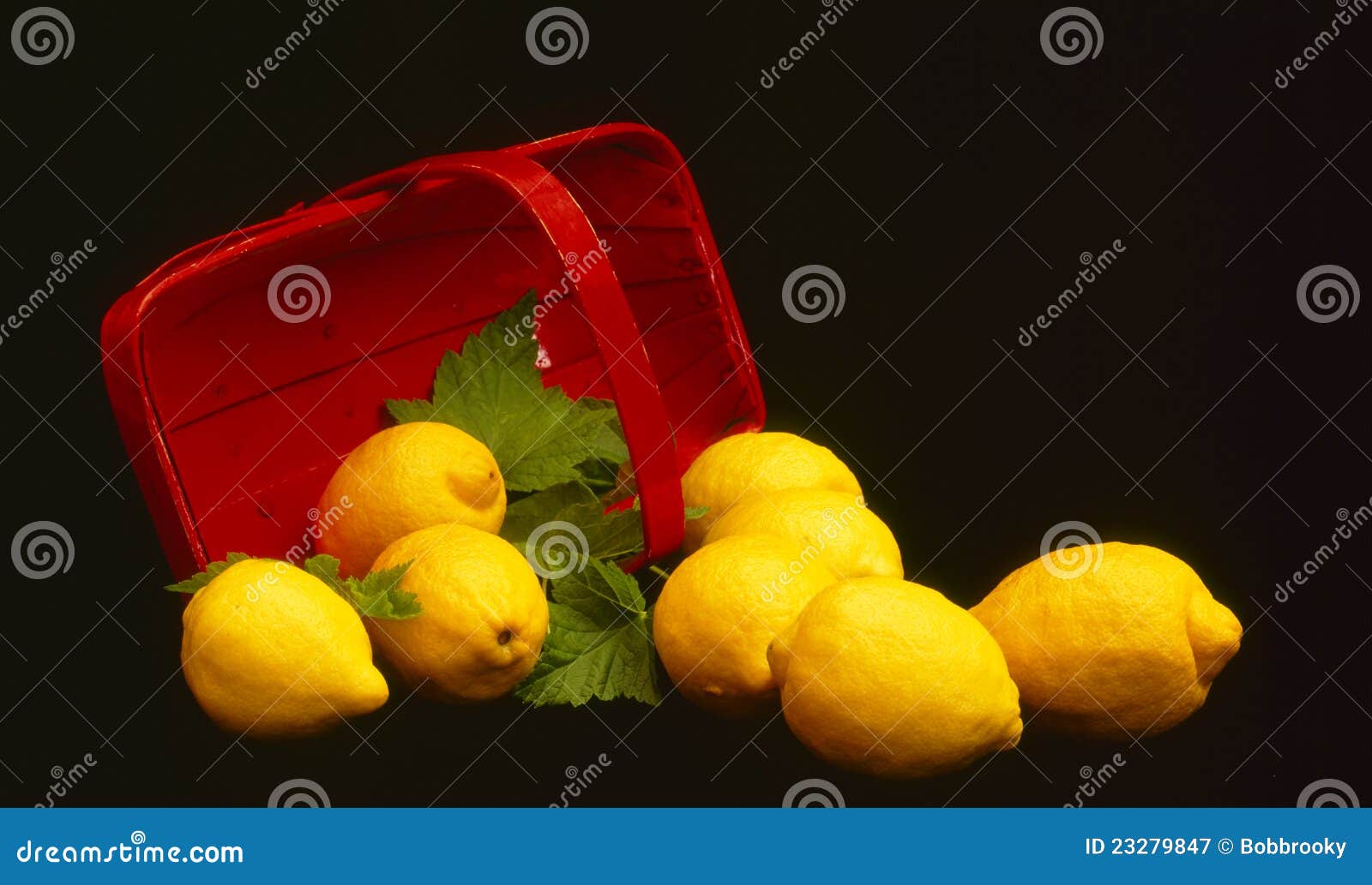 Lemons and Basket stock image. Image of citrus, lemon - 23279847