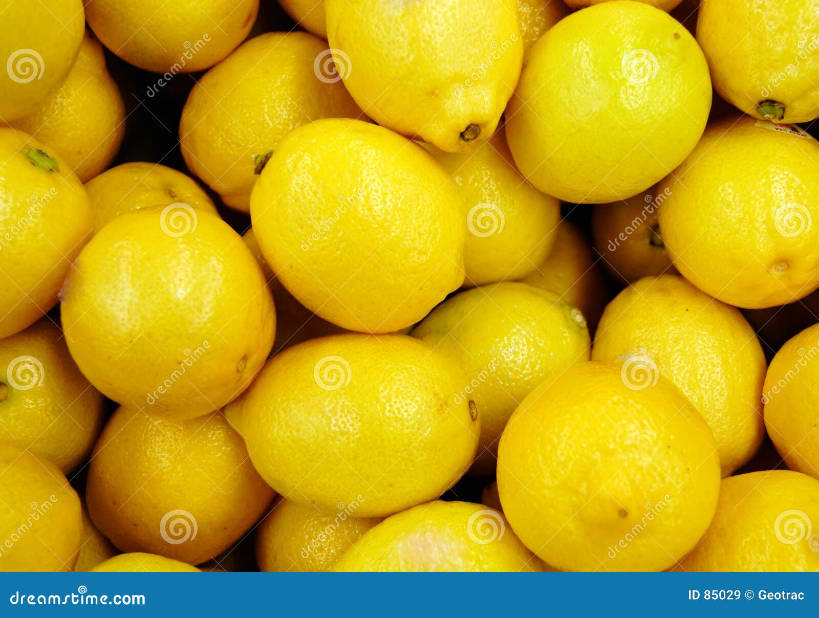 Lemons stock image. Image of lemon, harvest, lime, citrus - 85029