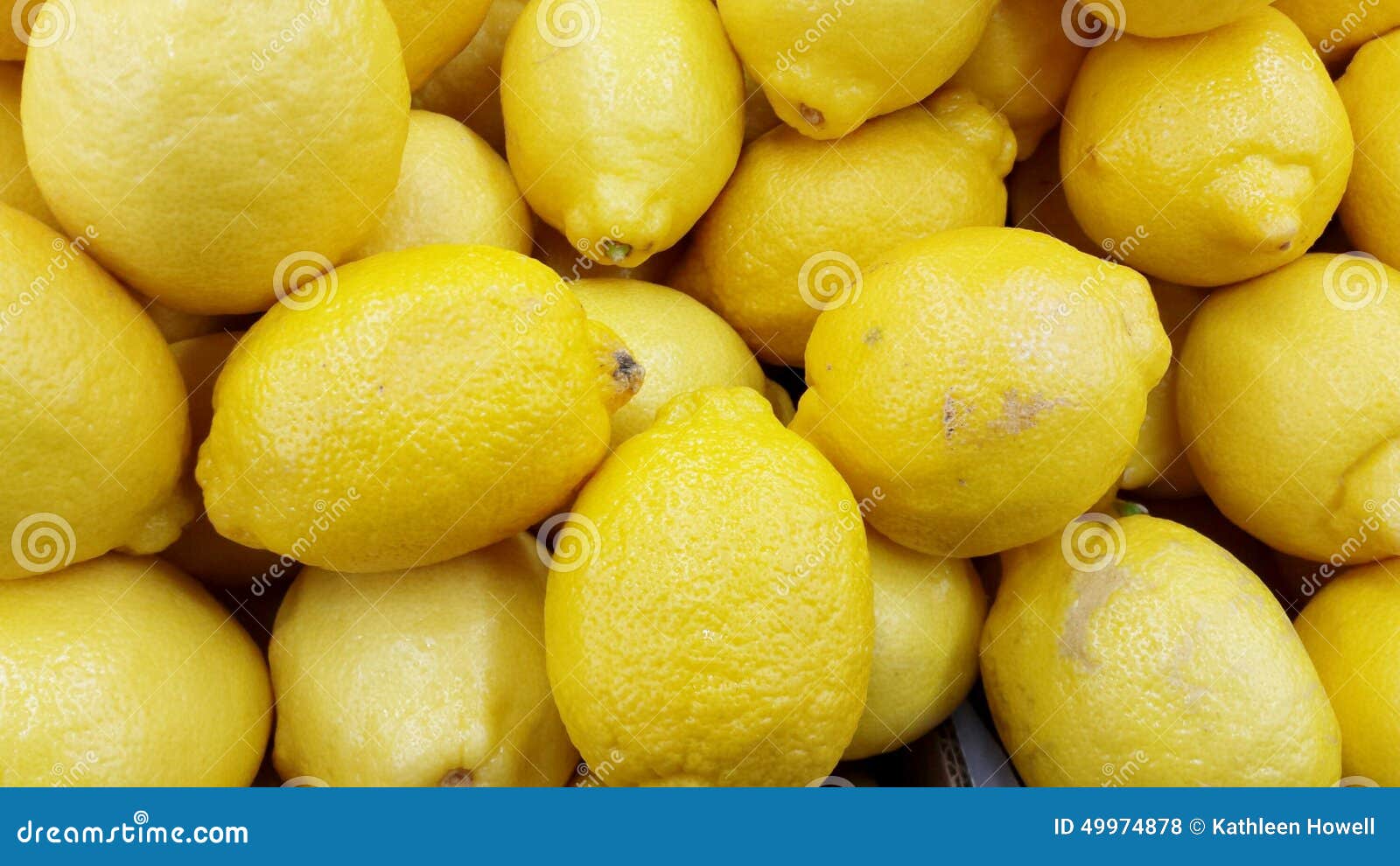Lemons stock photo. Image of horizontal, sour, lemons - 49974878