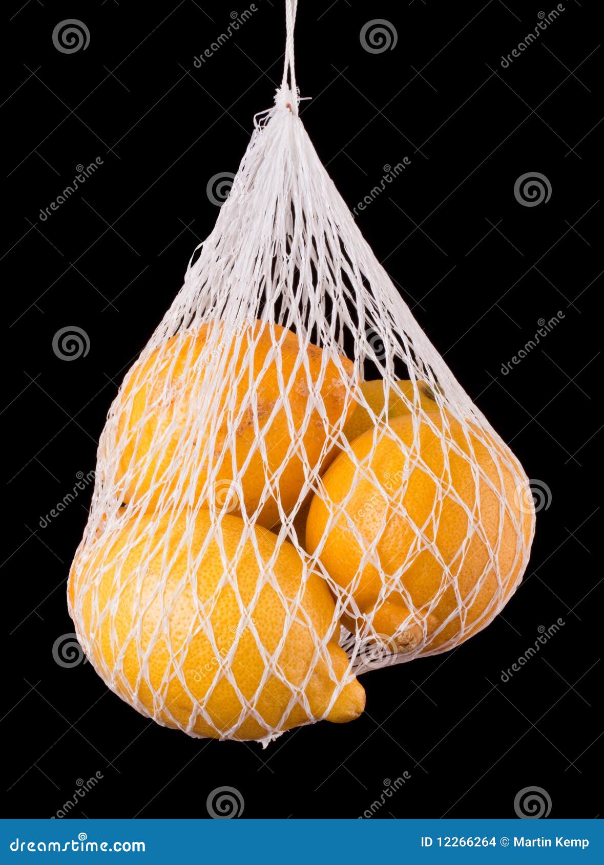 Lemons in a Bag stock photo. Image of citrus, yellow - 12266264