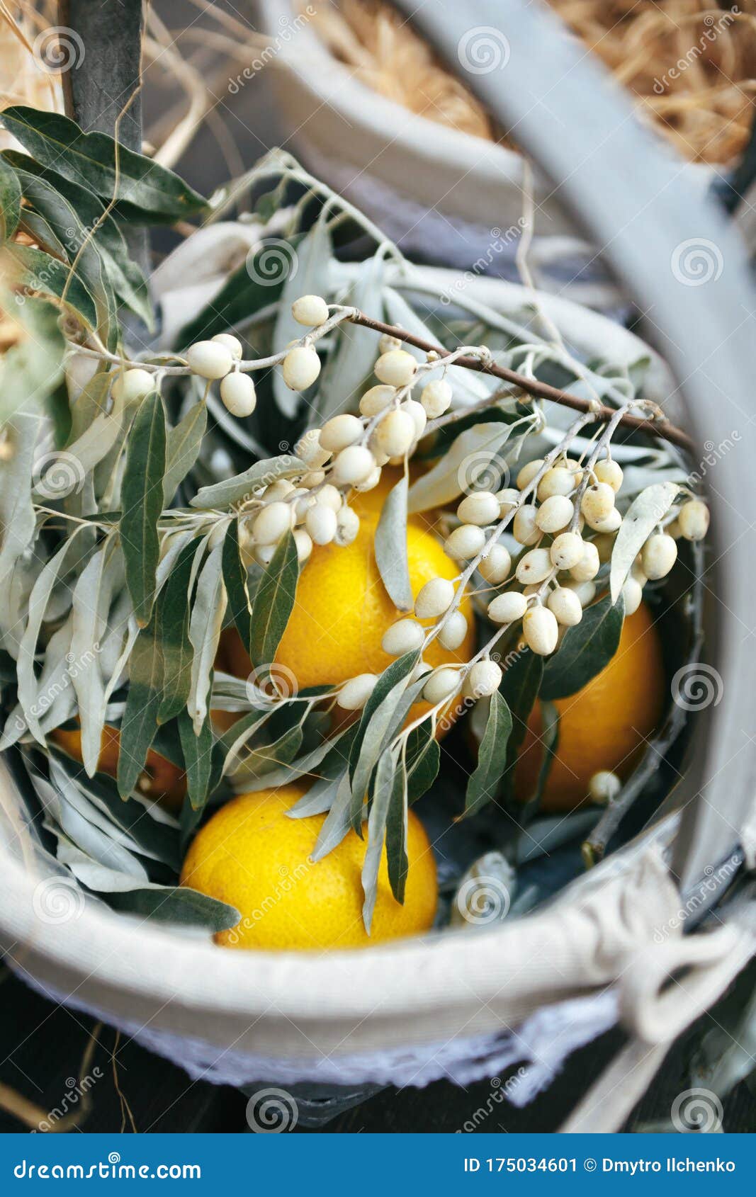 Lemons in a basket stock image. Image of vegetable, fresh - 175034601