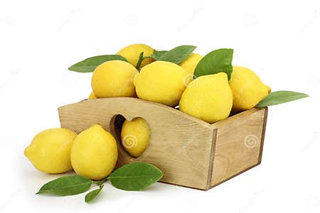 Lemons in the box stock image. Image of case, leaves - 23911597
