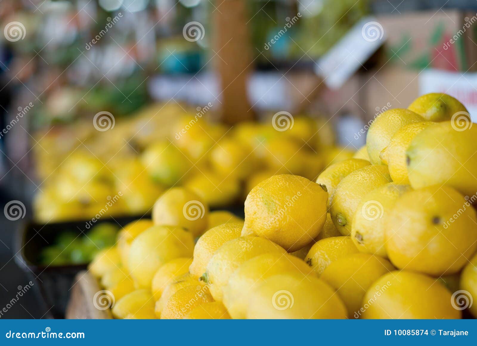Lemons at the Farmer S Market Stock Photo - Image of healthy, lemon ...