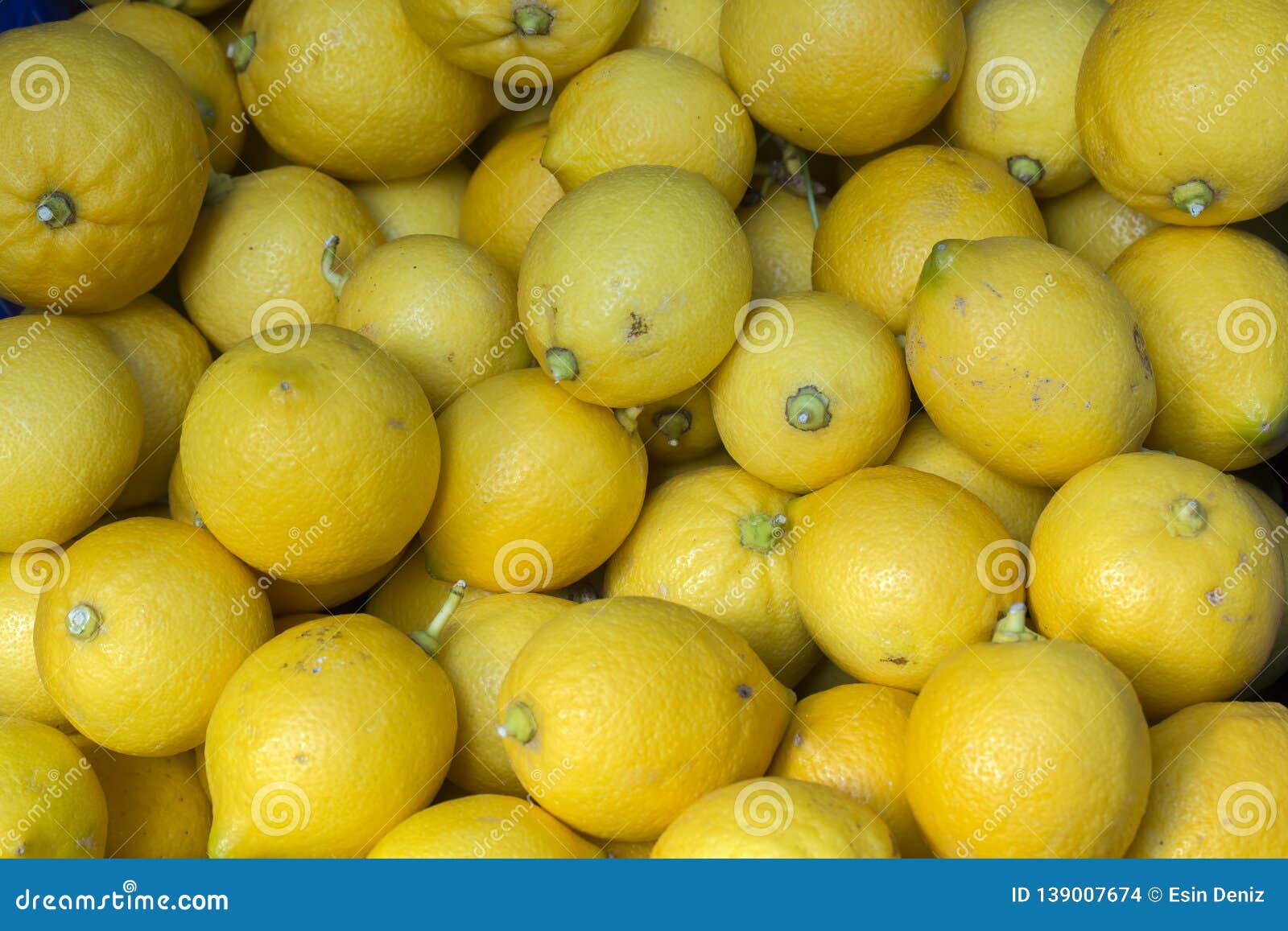 Lemons. Fruit stock photo. Image of vegetable, background - 139007674